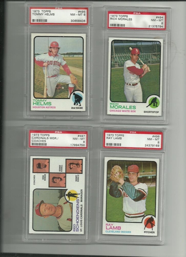 Auction Prices Realized Baseball Cards 1973 Topps Ray Lamb