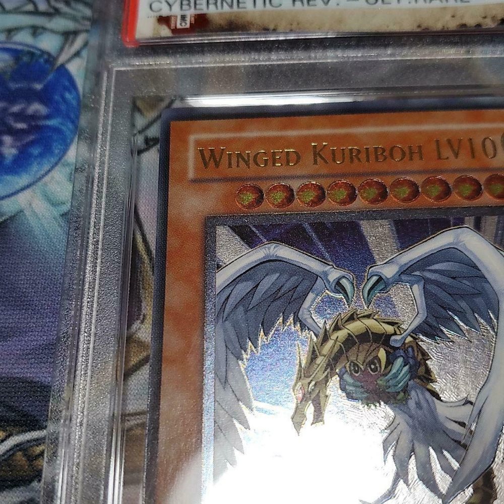 Winged Kuriboh Lv10