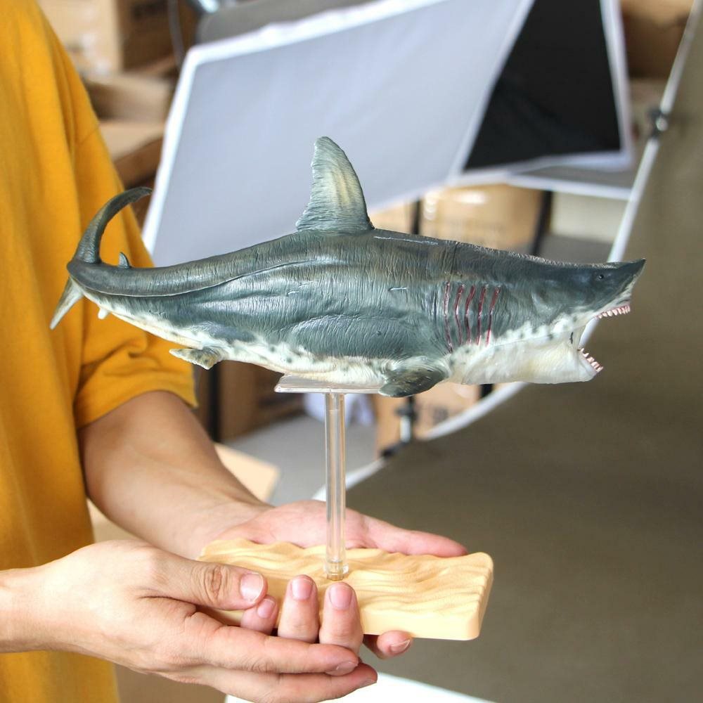 NEW PNSO Rare Megalodon prehistoric sharks Dinosaurs Model The Meg ...